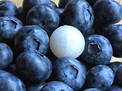 Berry Impact Recorder – Alpha AgTech